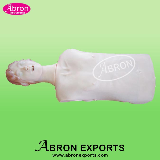 Human 3D Model Medical, Human 3D Model Medical Manufacturers, Human 3D ...